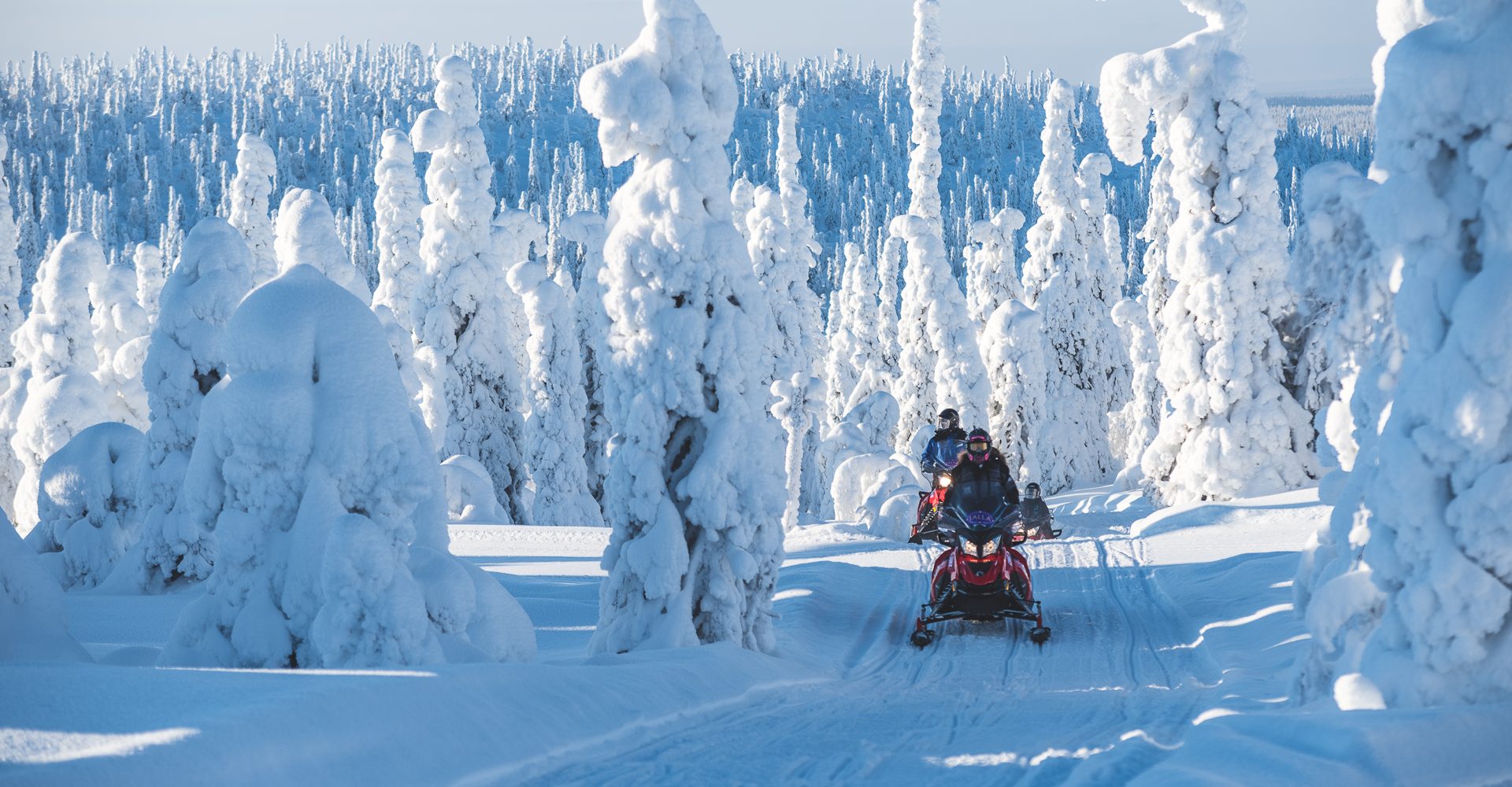 Safari to Ruuhitunturi | Sallatunturin Tuvat