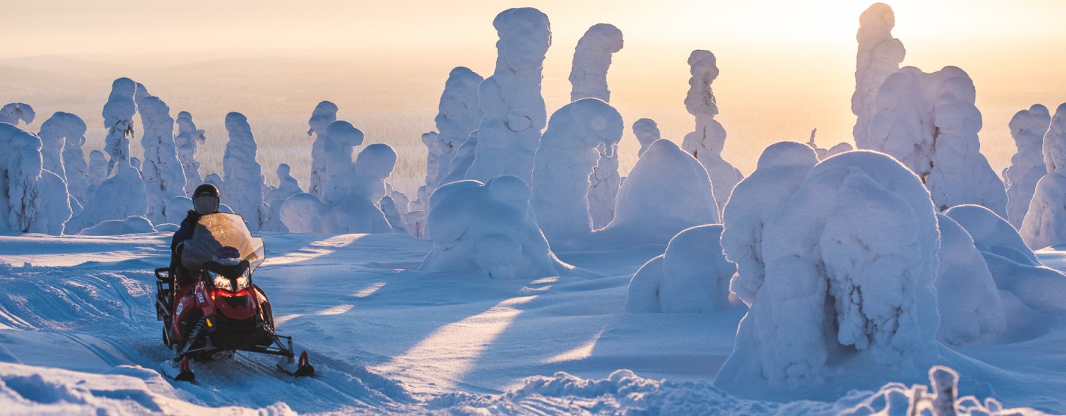 Safari to Ruuhitunturi | Sallatunturin Tuvat